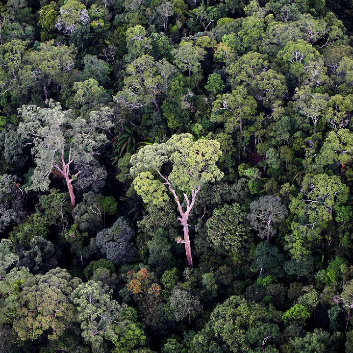 A New Sustainable Homewares Platform – Erda